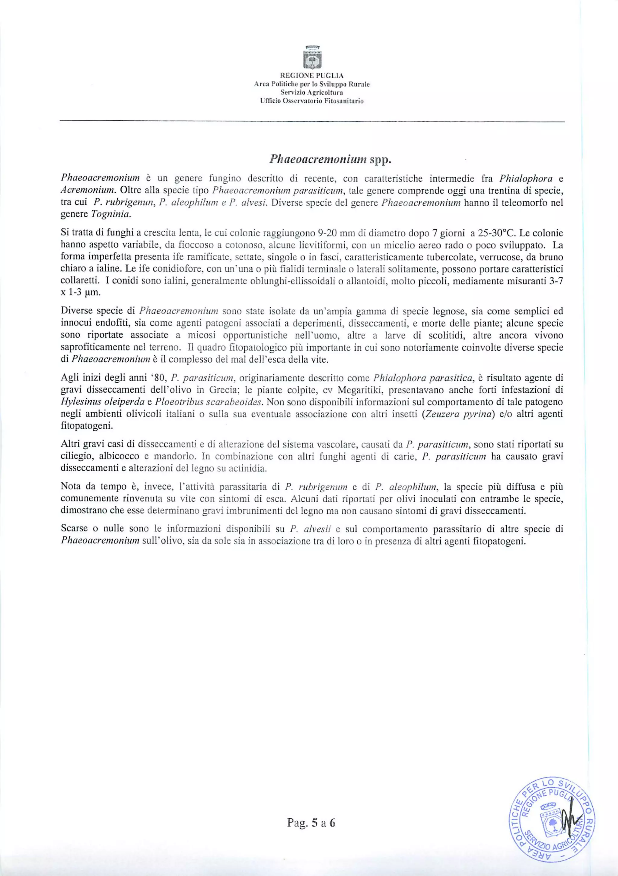 Nota tecnica informativa Disseccamento ulivi | PDF