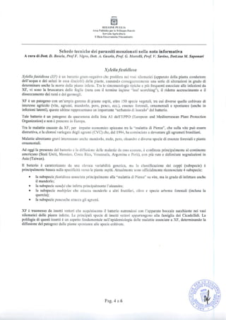 Nota tecnica informativa Disseccamento ulivi | PDF