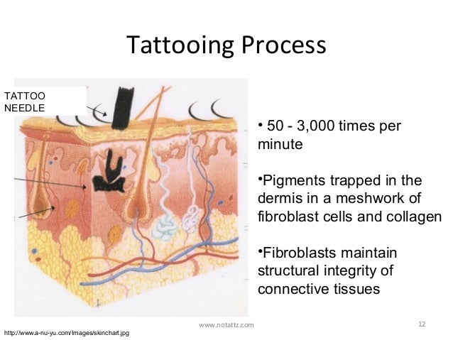 Notattz Introduction