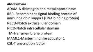 Notch Pathway - correcteduuuuuuuuui.pptx