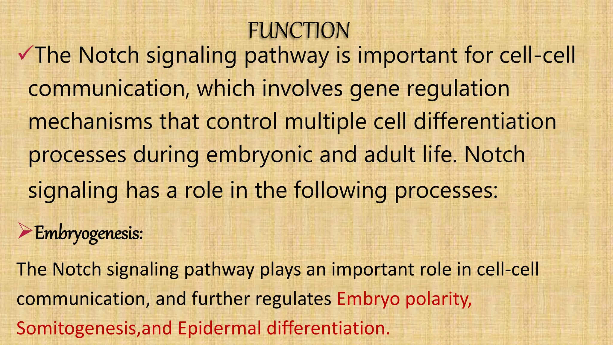 Notch signaling pathway | PPTX