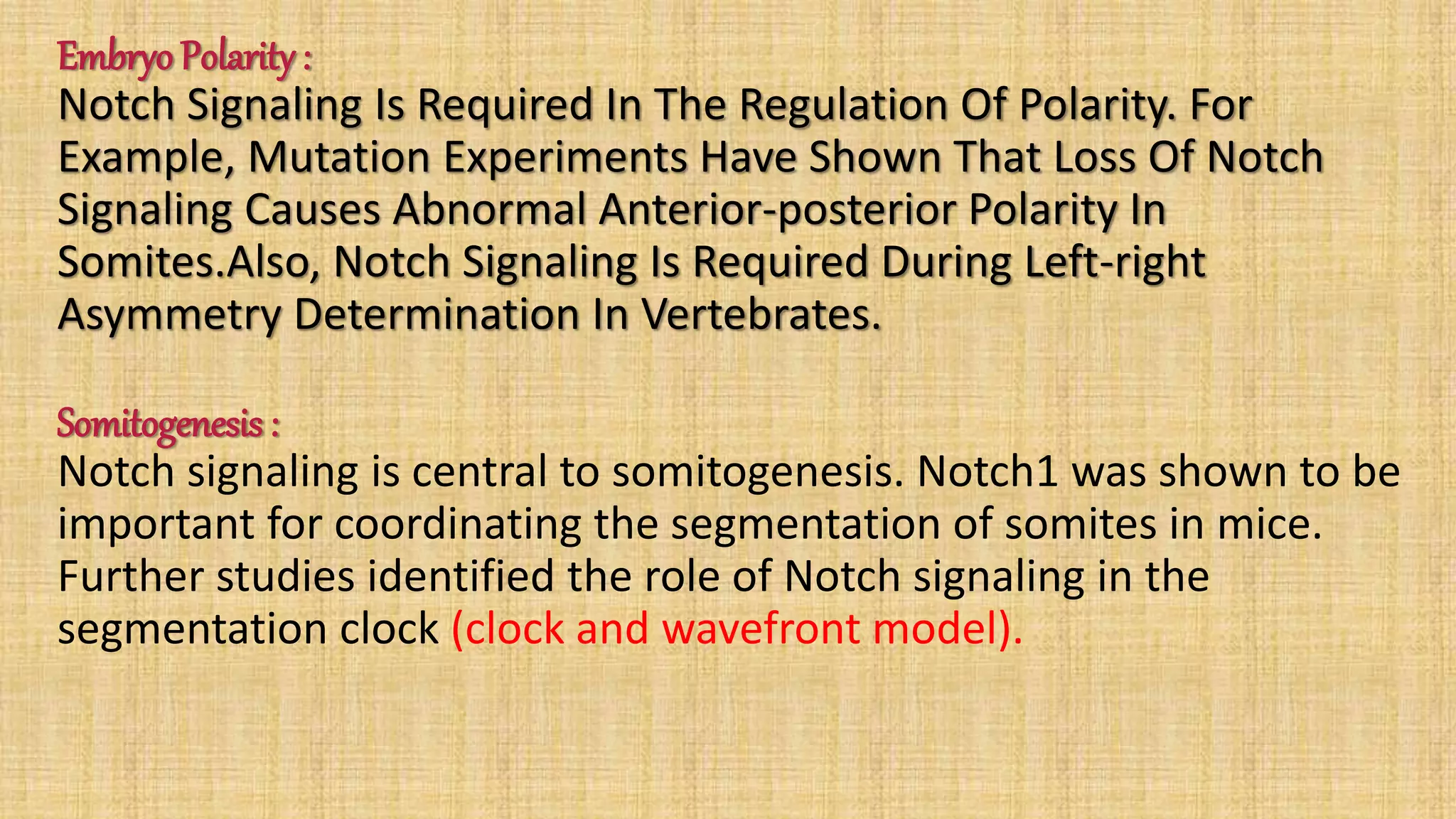 Notch signaling pathway | PPTX