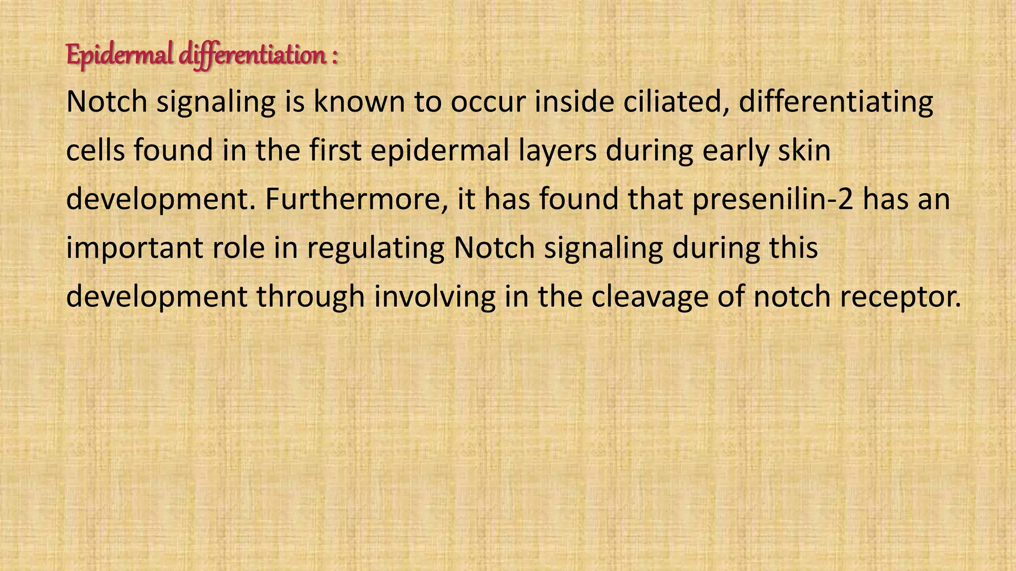 Notch signaling pathway | PPTX