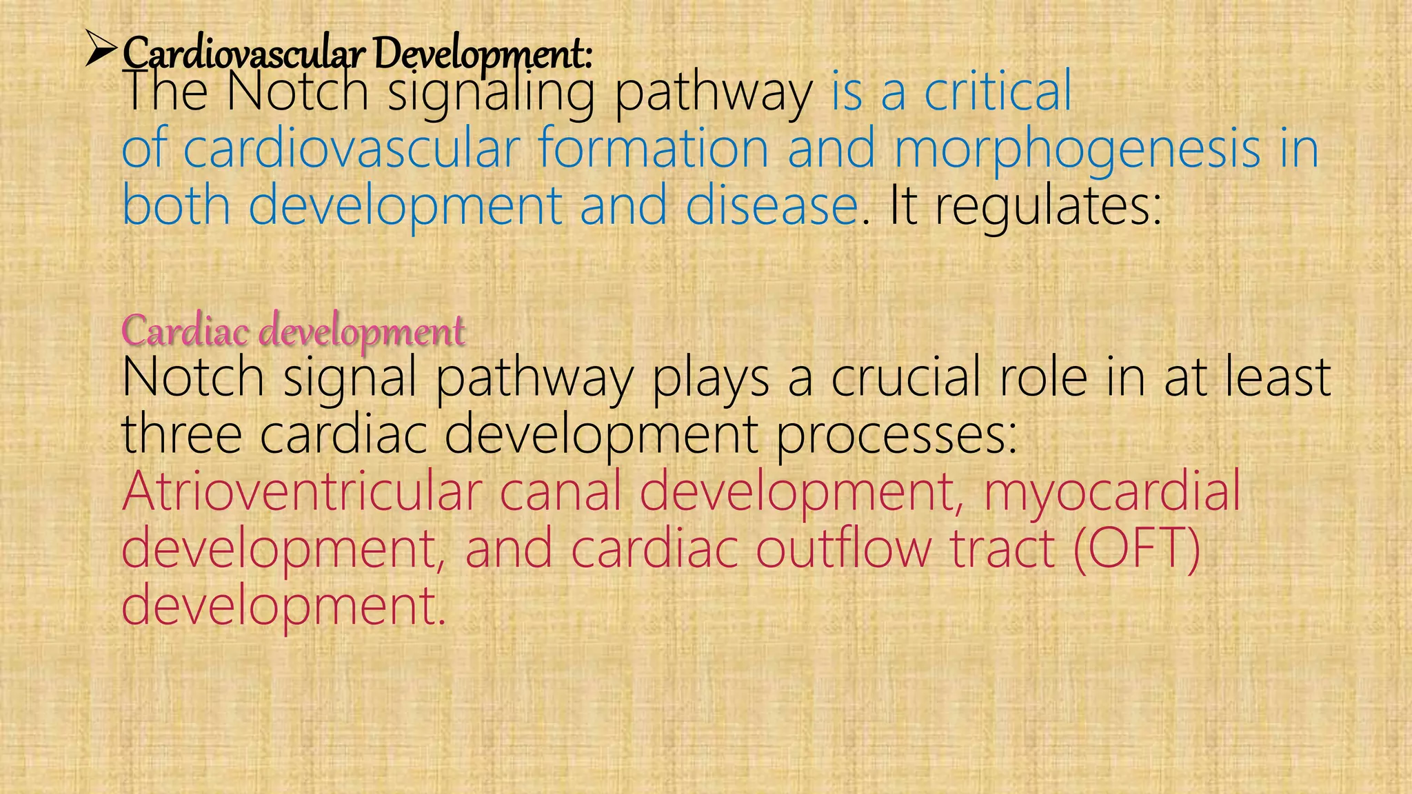 Notch signaling pathway | PPTX