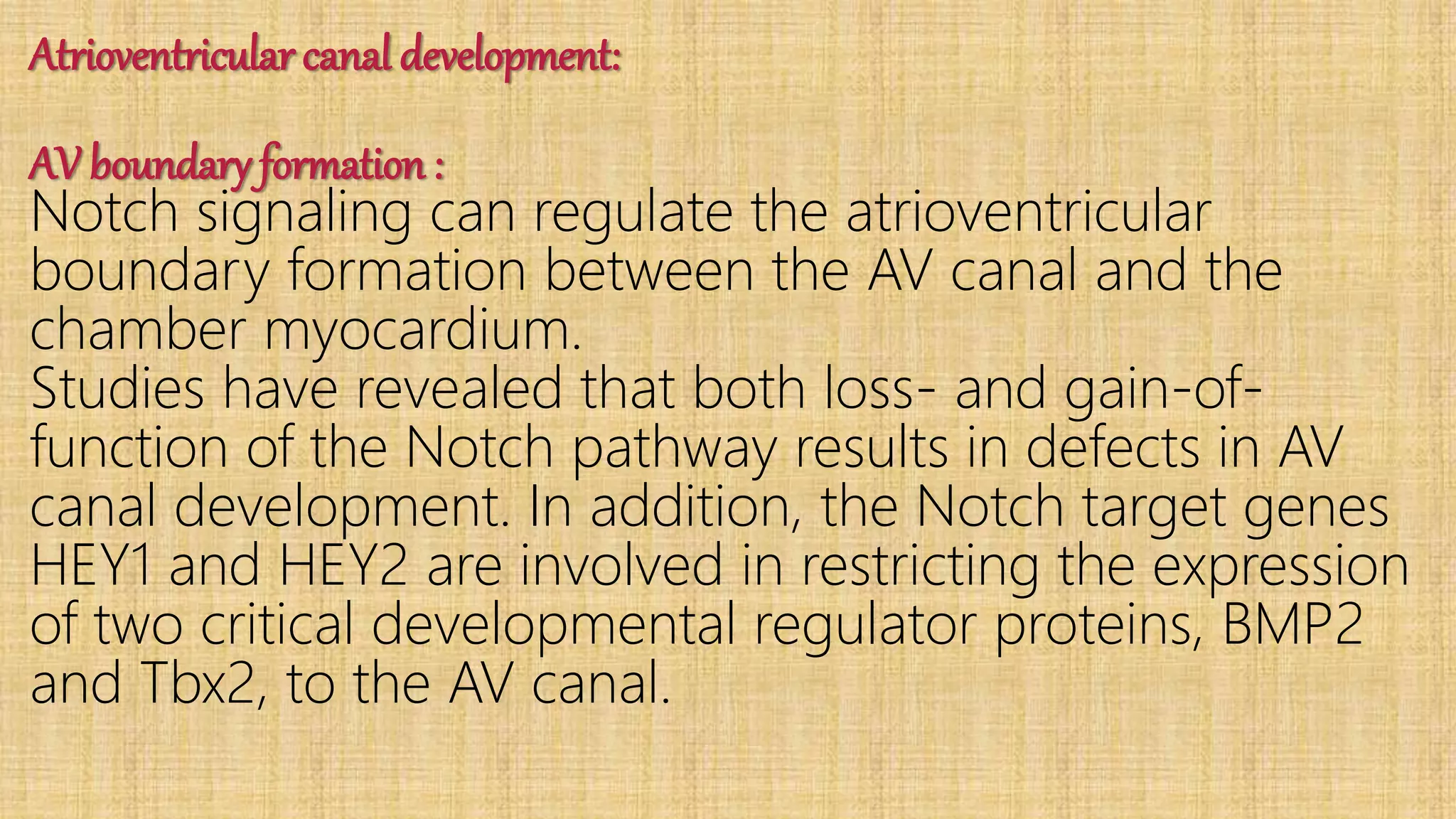 Notch signaling pathway | PPTX