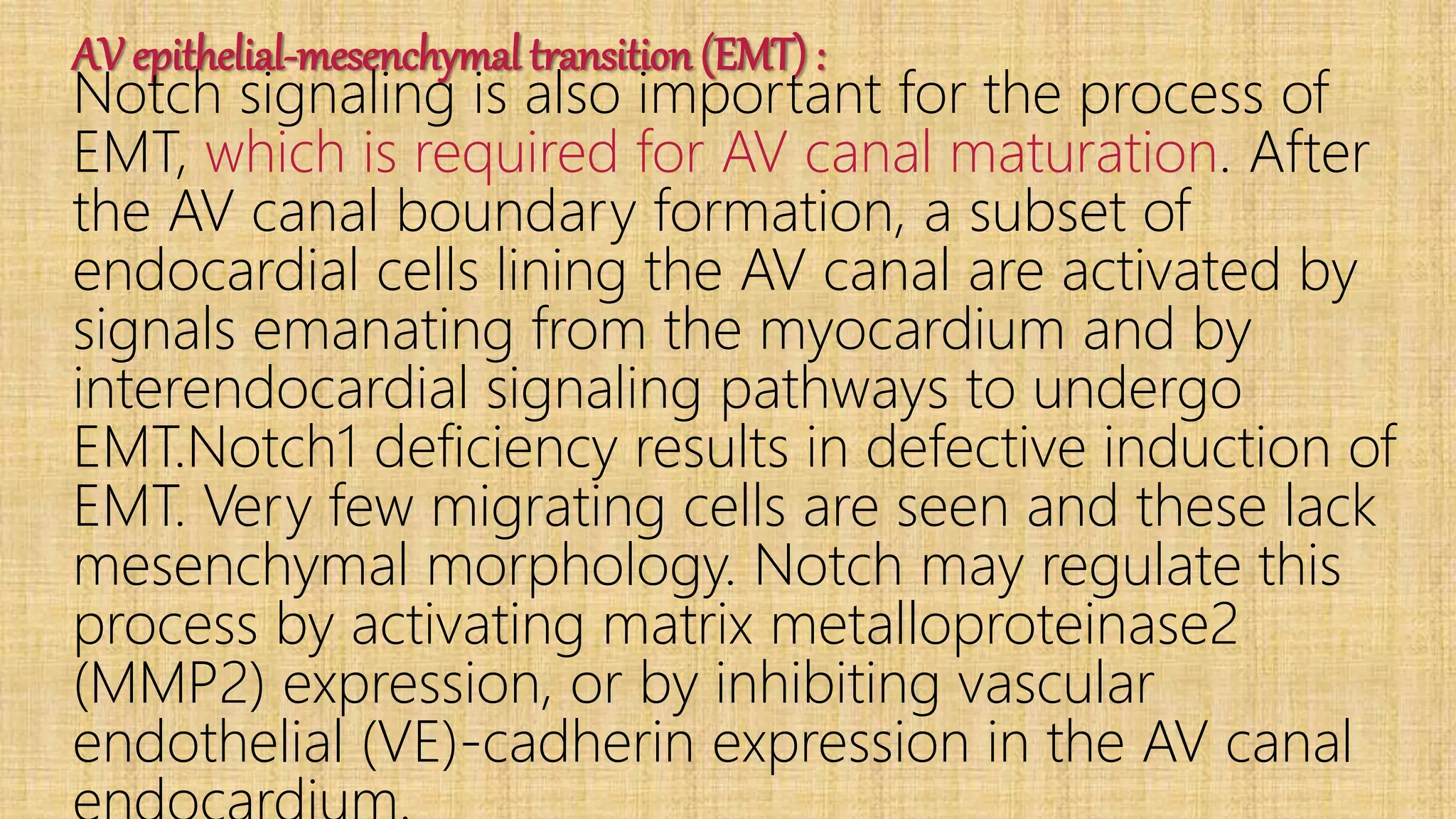 Notch signaling pathway | PPTX