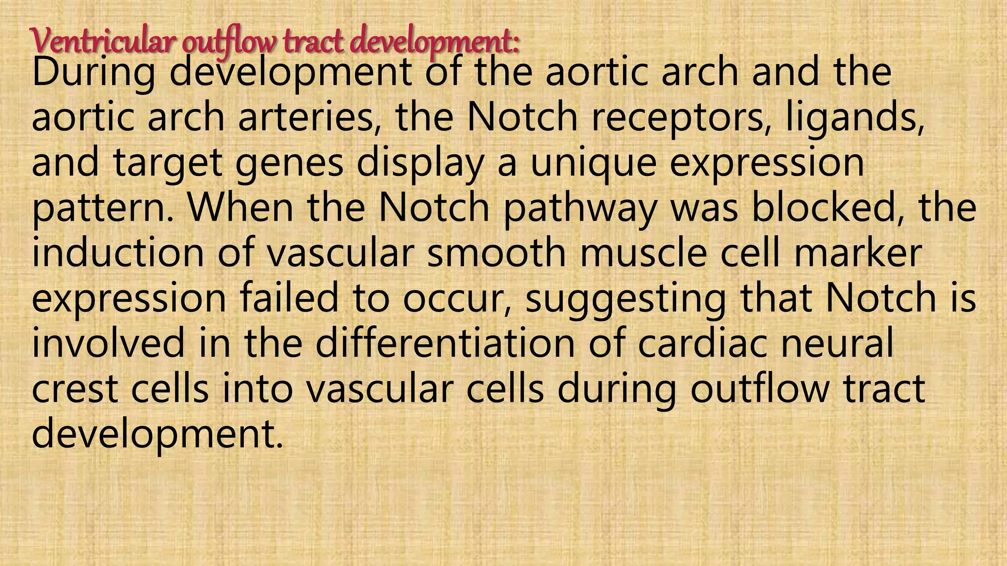 Notch signaling pathway | PPTX
