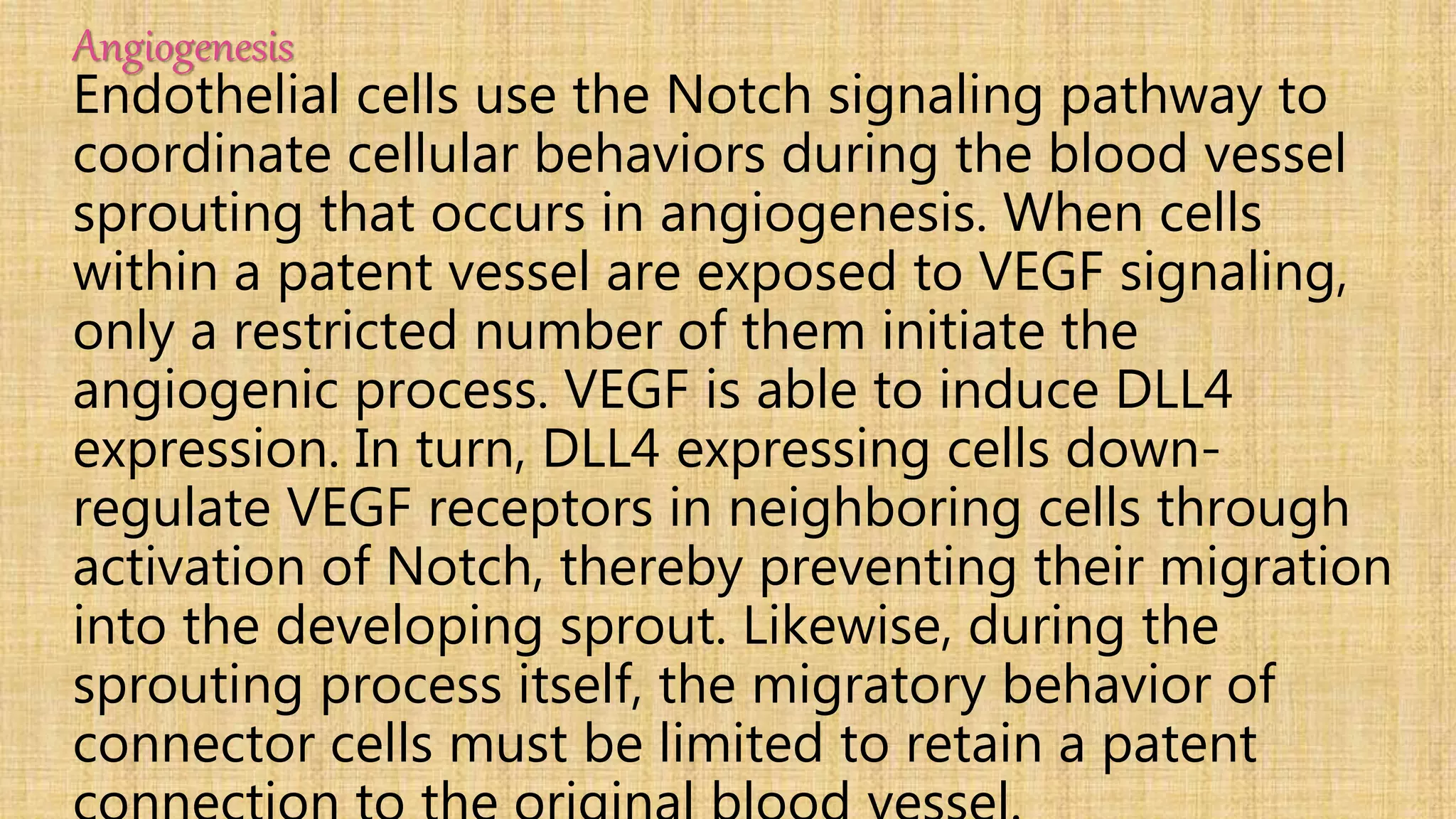 Notch signaling pathway | PPTX