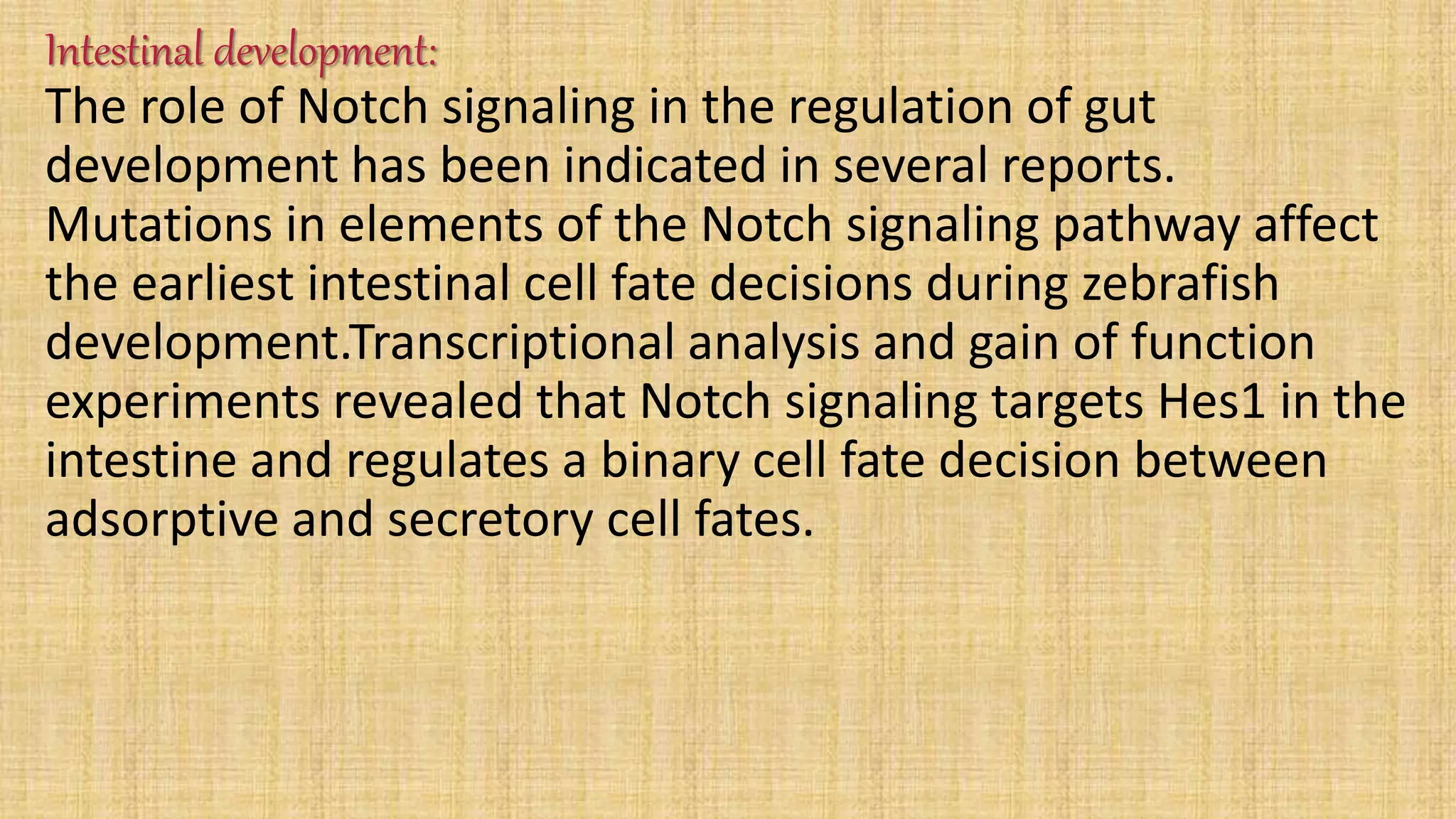 Notch signaling pathway | PPTX