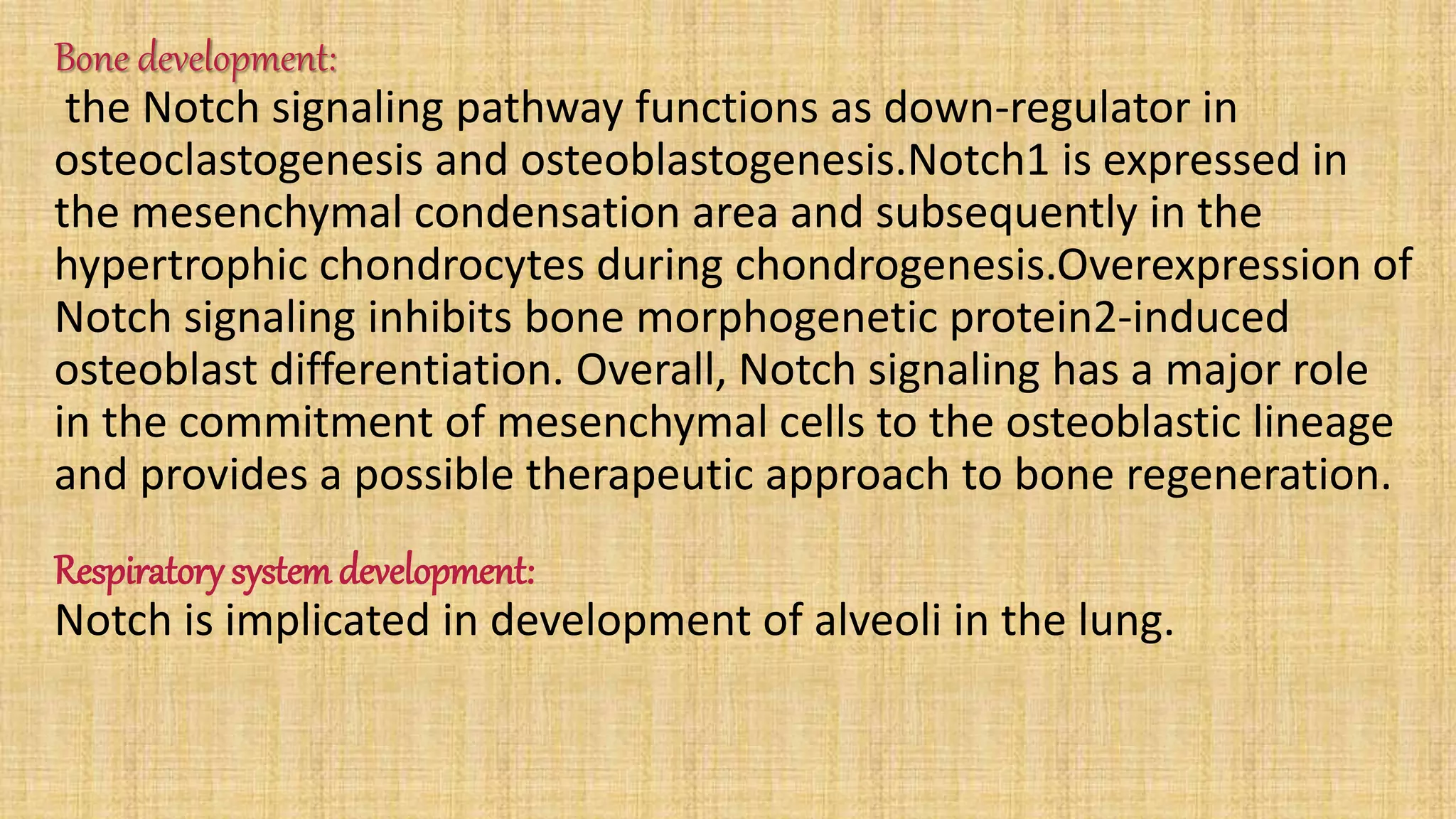 Notch signaling pathway | PPTX