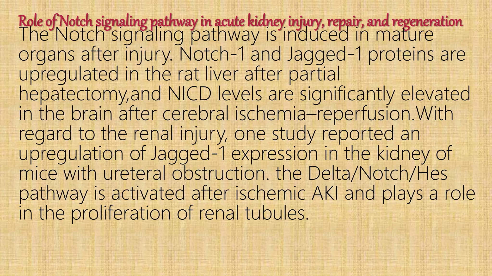 Notch signaling pathway | PPTX