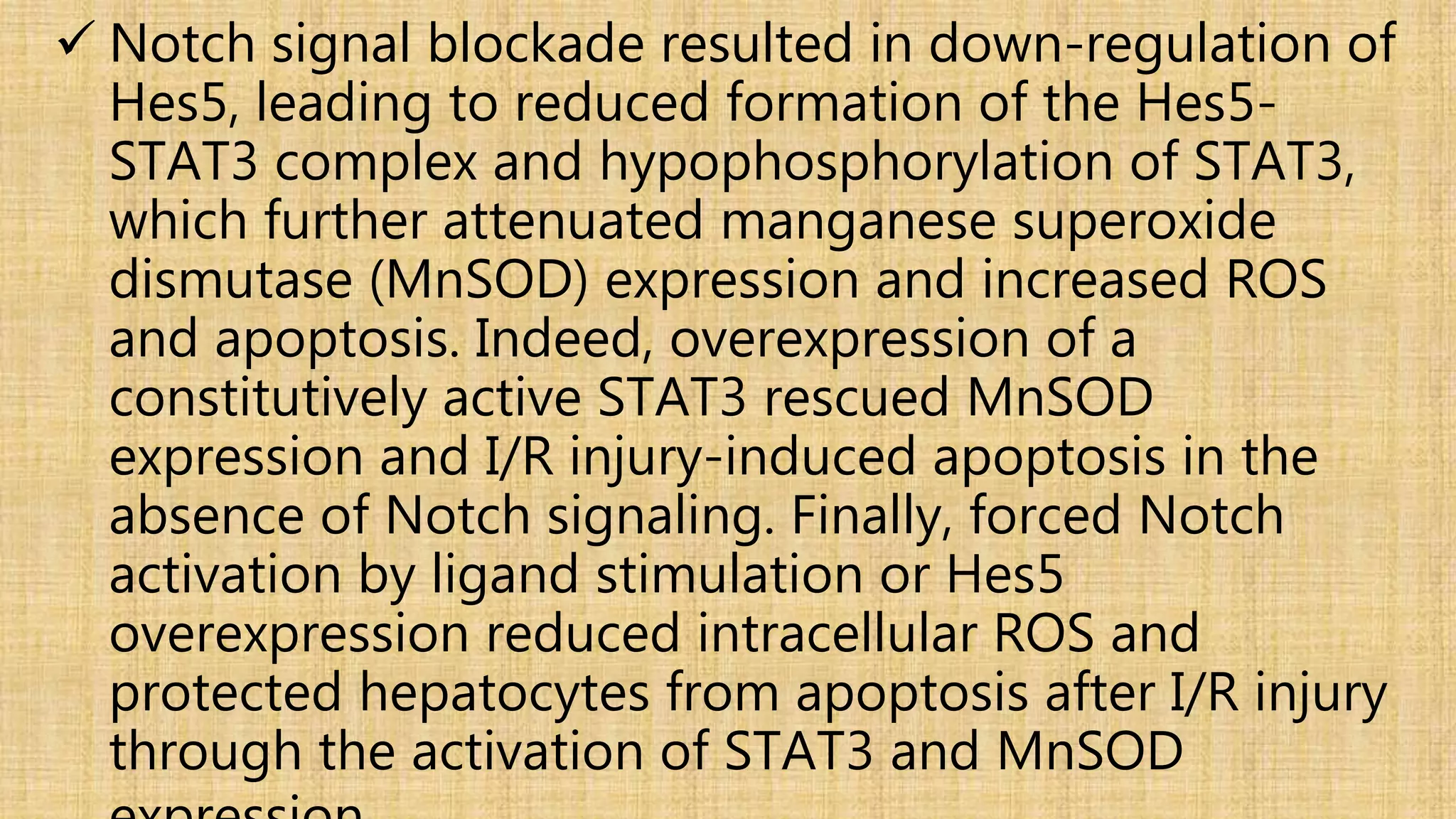 Notch signaling pathway | PPTX