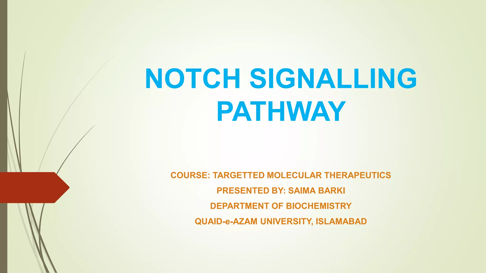 Notch signalling | PPTX