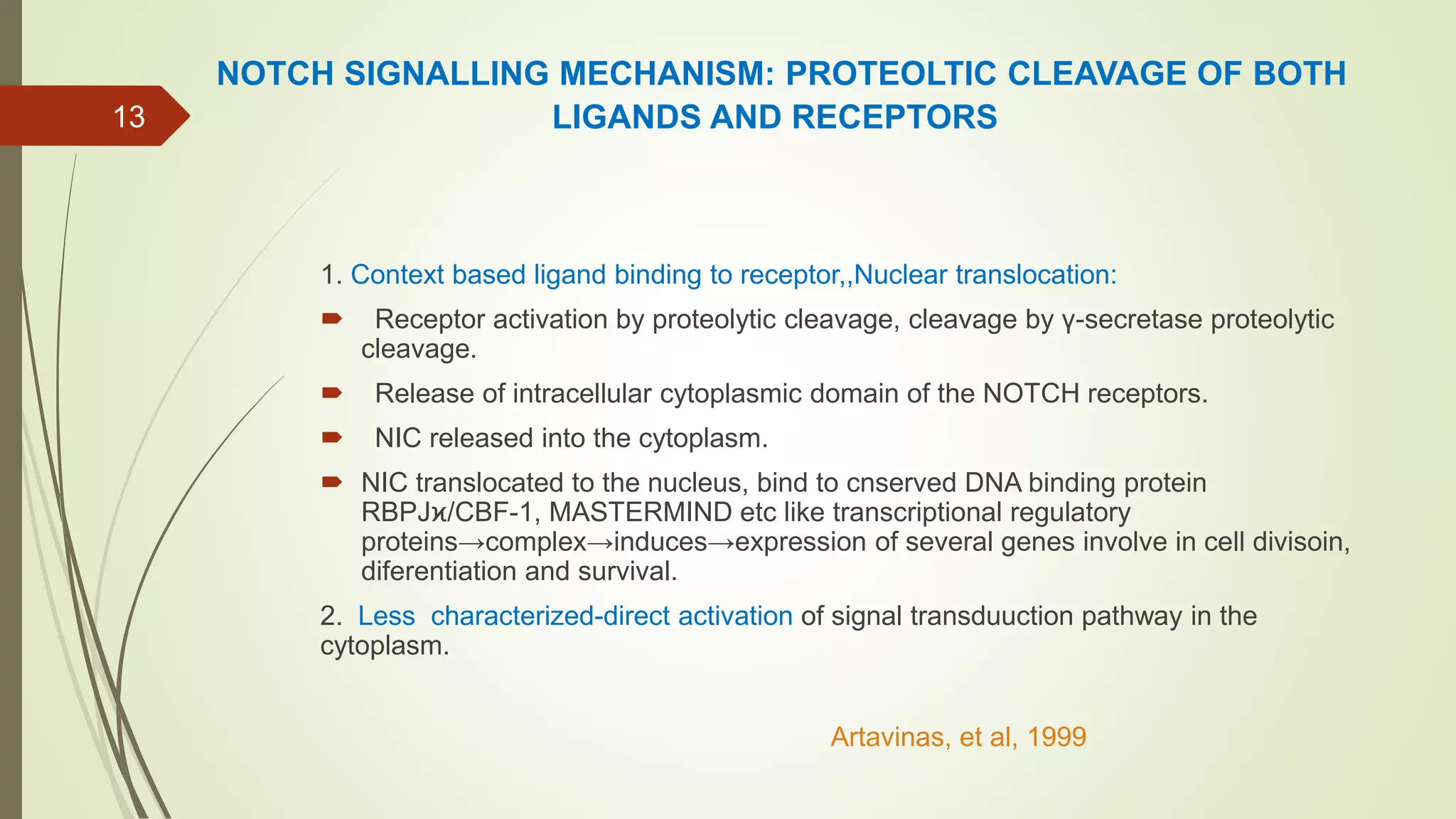 Notch signalling | PPTX