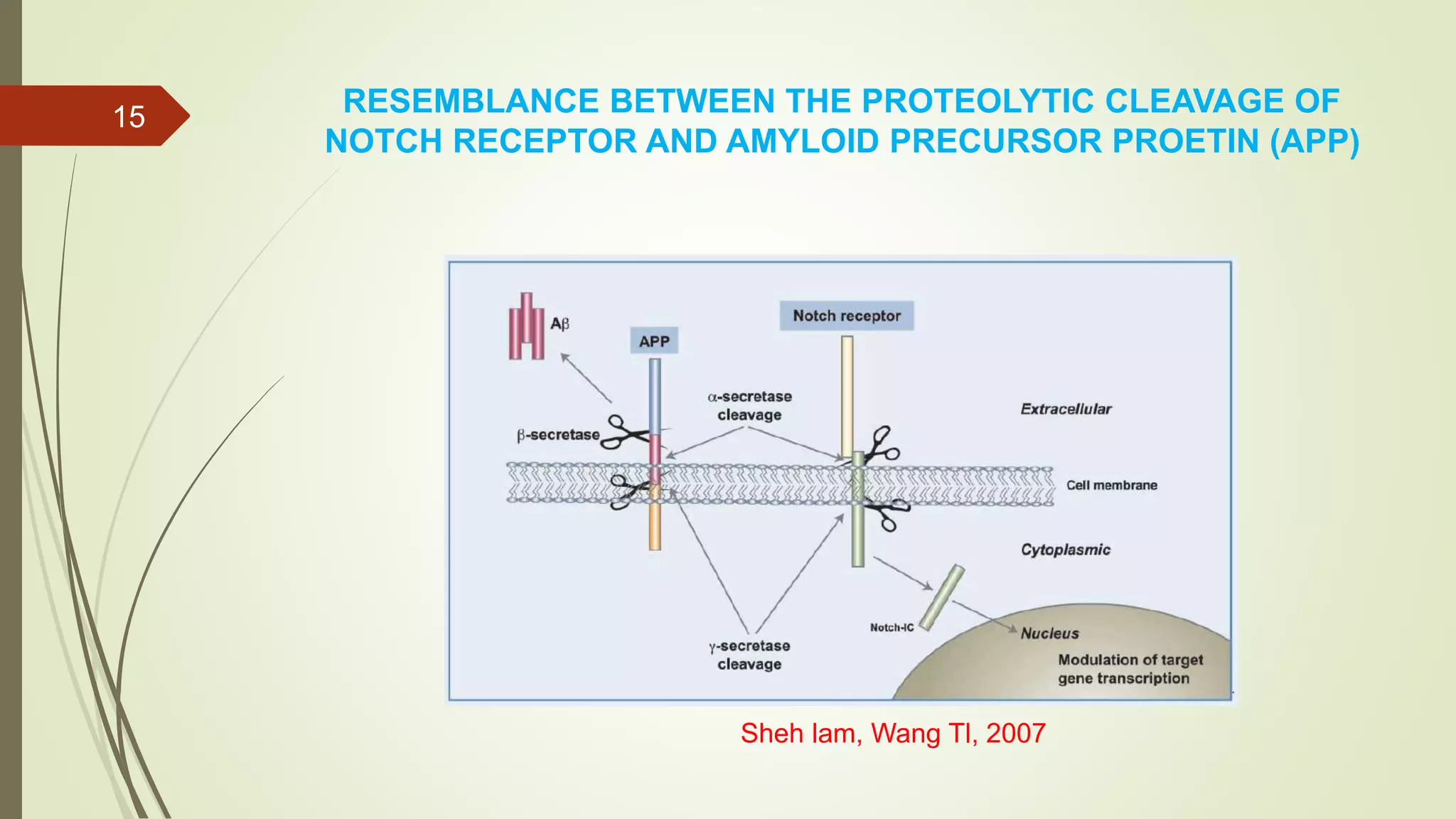 Notch signalling | PPTX
