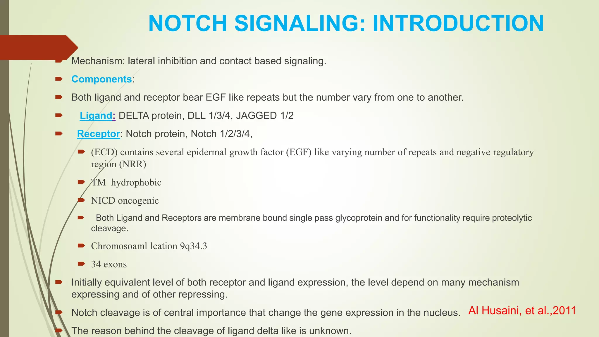 Notch signalling | PPTX
