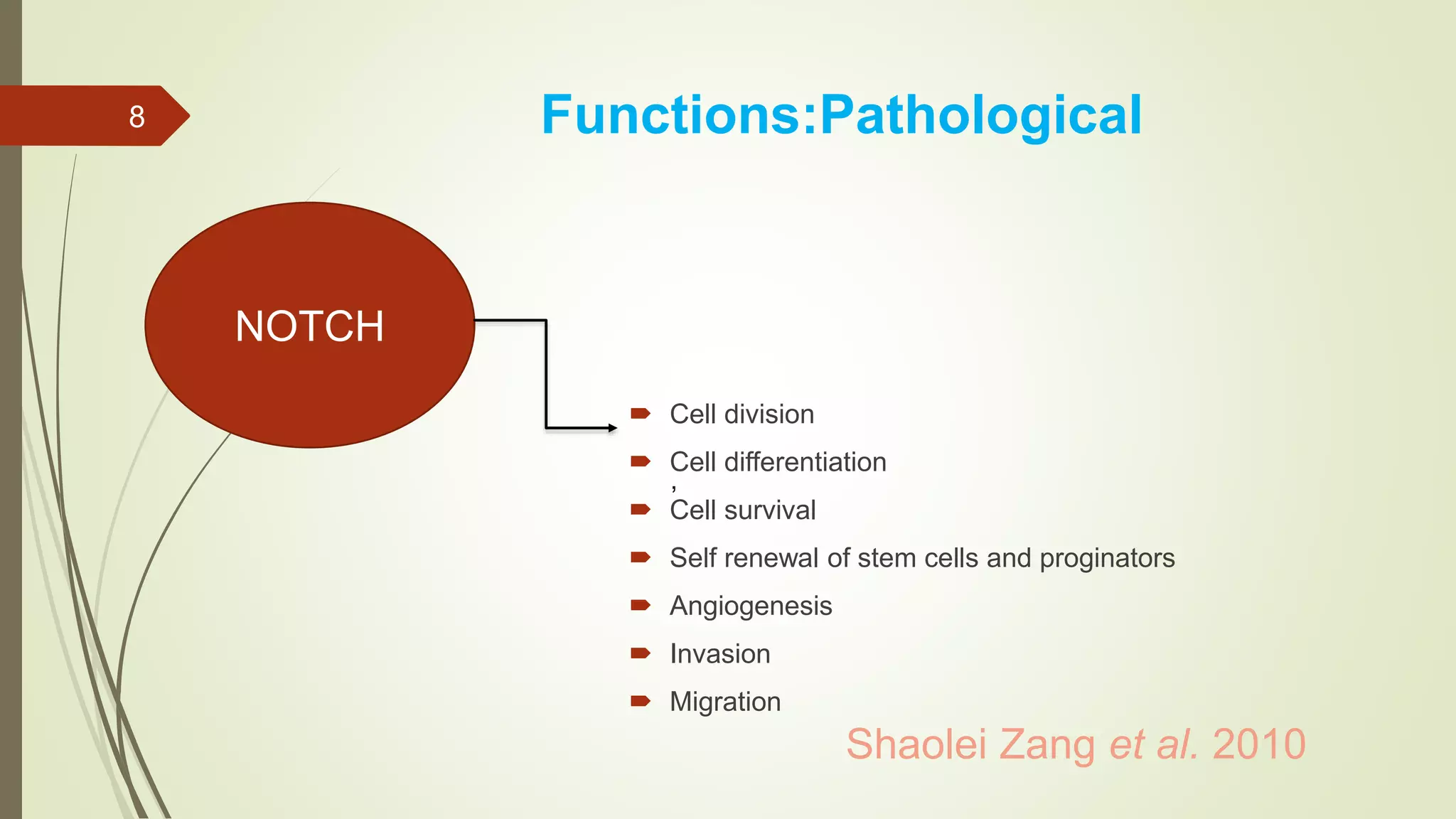 Notch signalling | PPTX