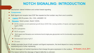 Notch signalling | PPTX