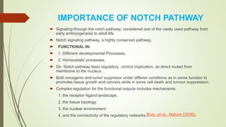 Notch signalling | PPTX