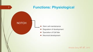 Notch signalling | PPTX