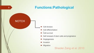 Notch signalling | PPTX