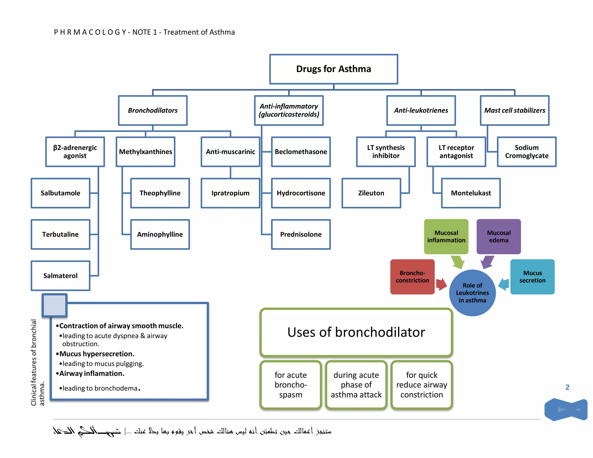 Pharmacology ..Treatment of Asthma | PDF