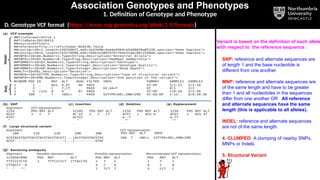 Note 1.Genotypes-Phenotypes.23.11.2023.pptx