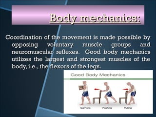 Babitha's Note On Body Mechanics | PPT