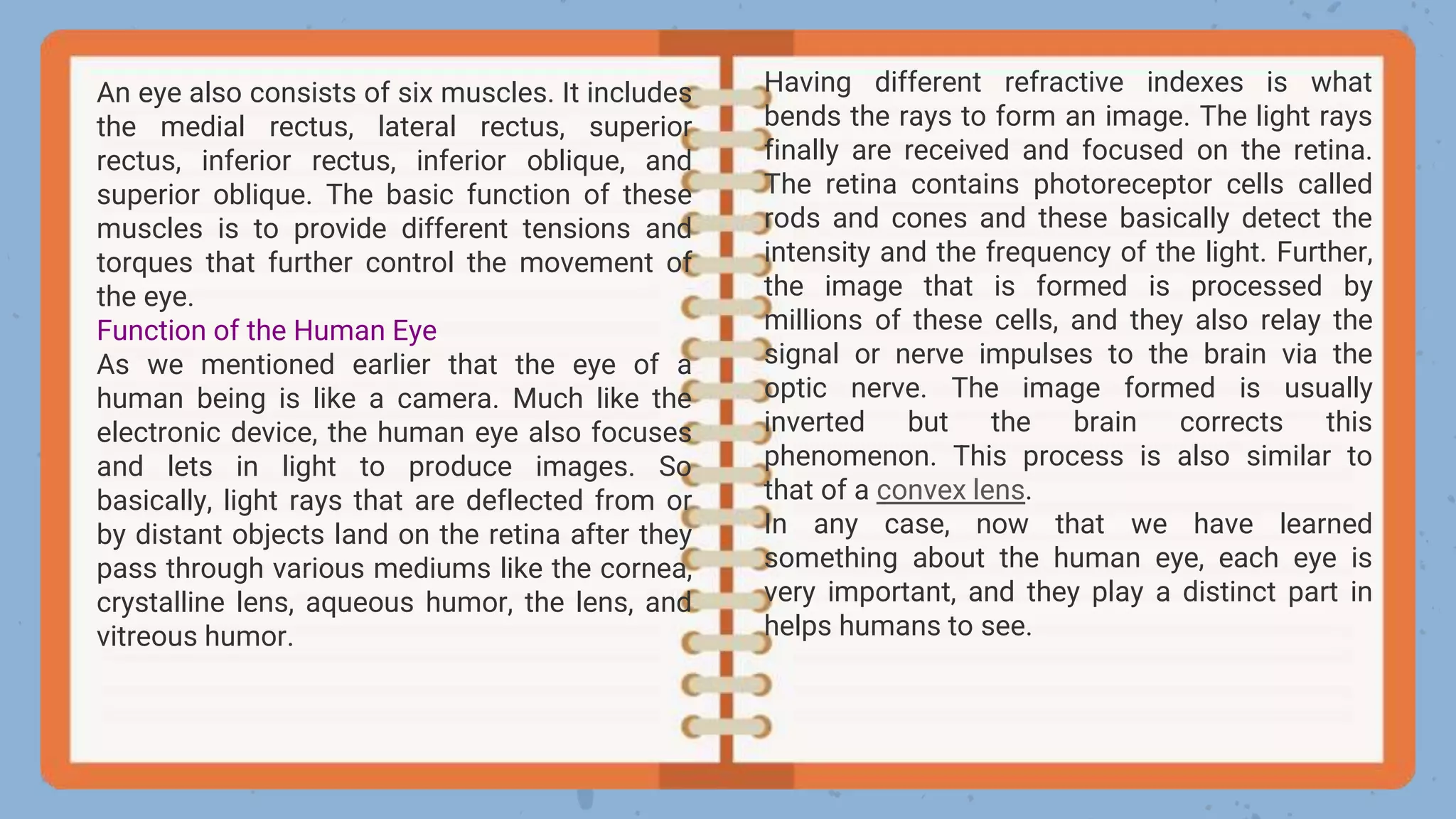 light class 8 developed by dsv teachers | PPTX