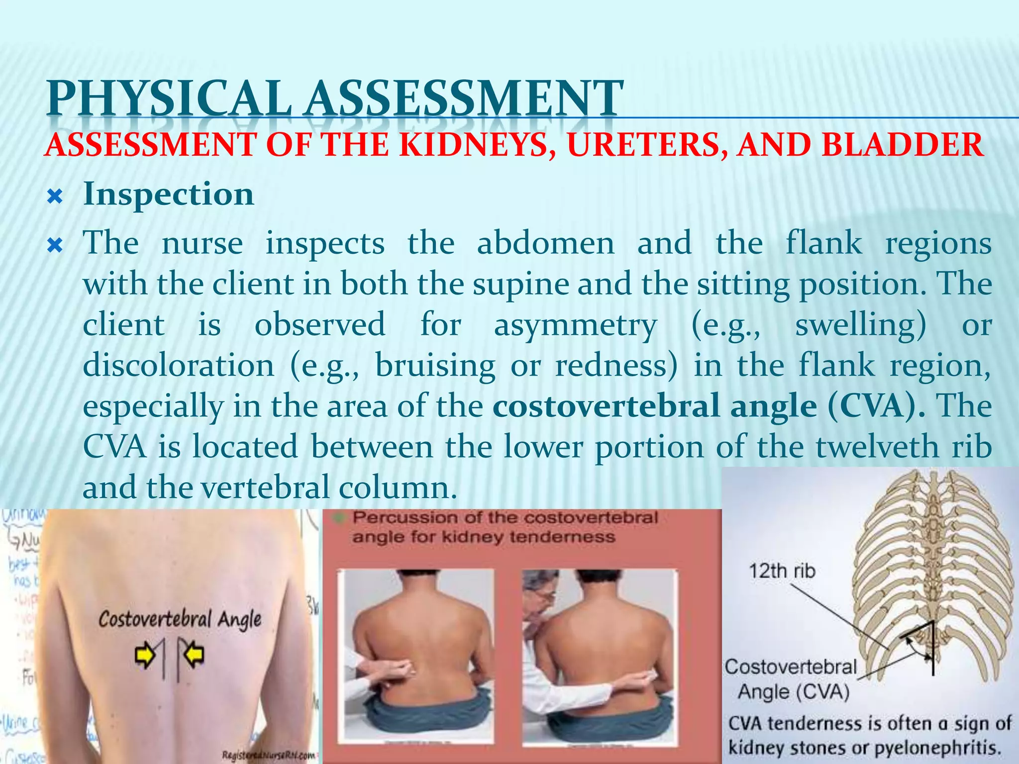 Note on assessment of renal or urinary system | PPTX
