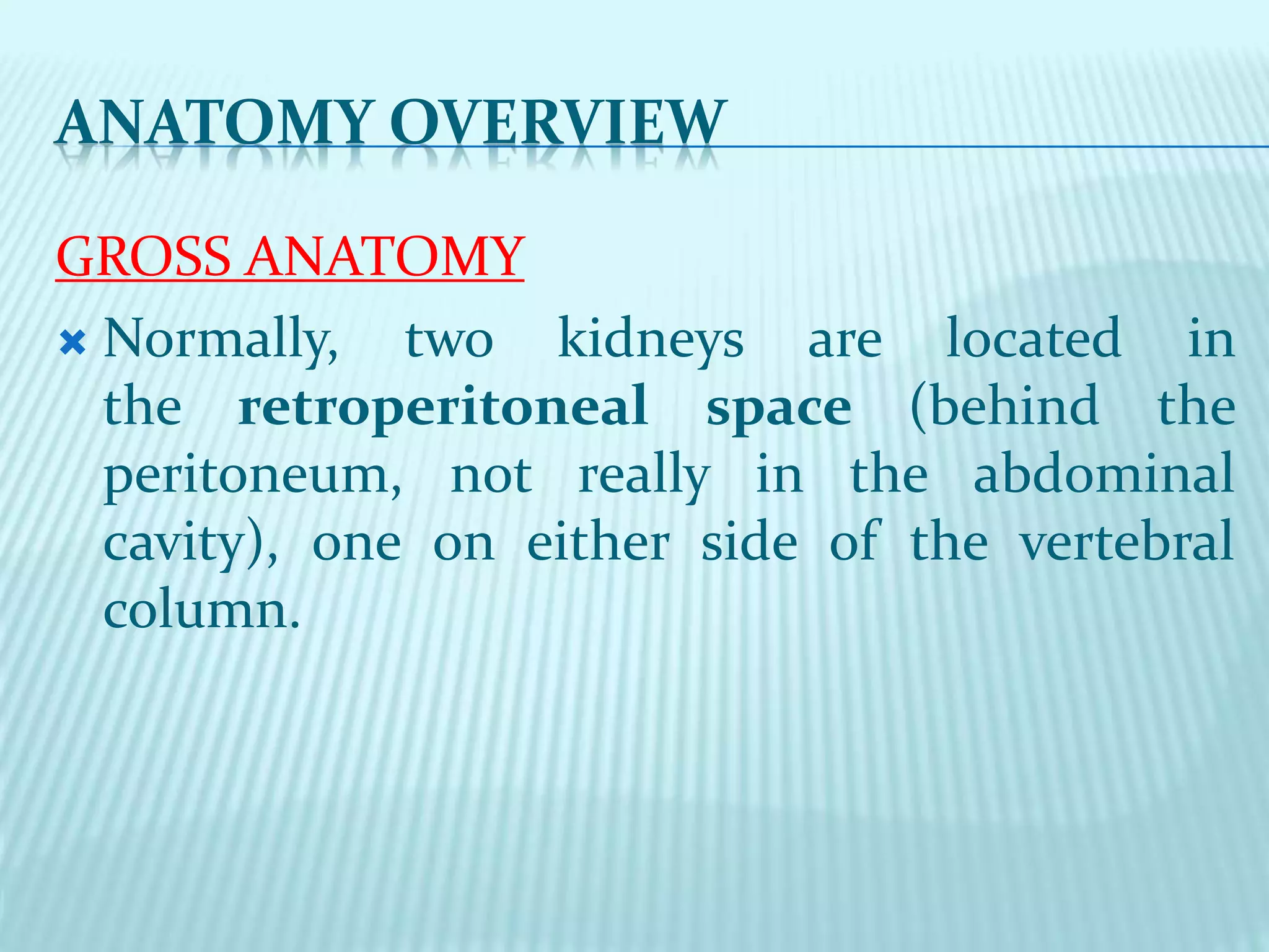 Note on assessment of renal or urinary system | PPTX
