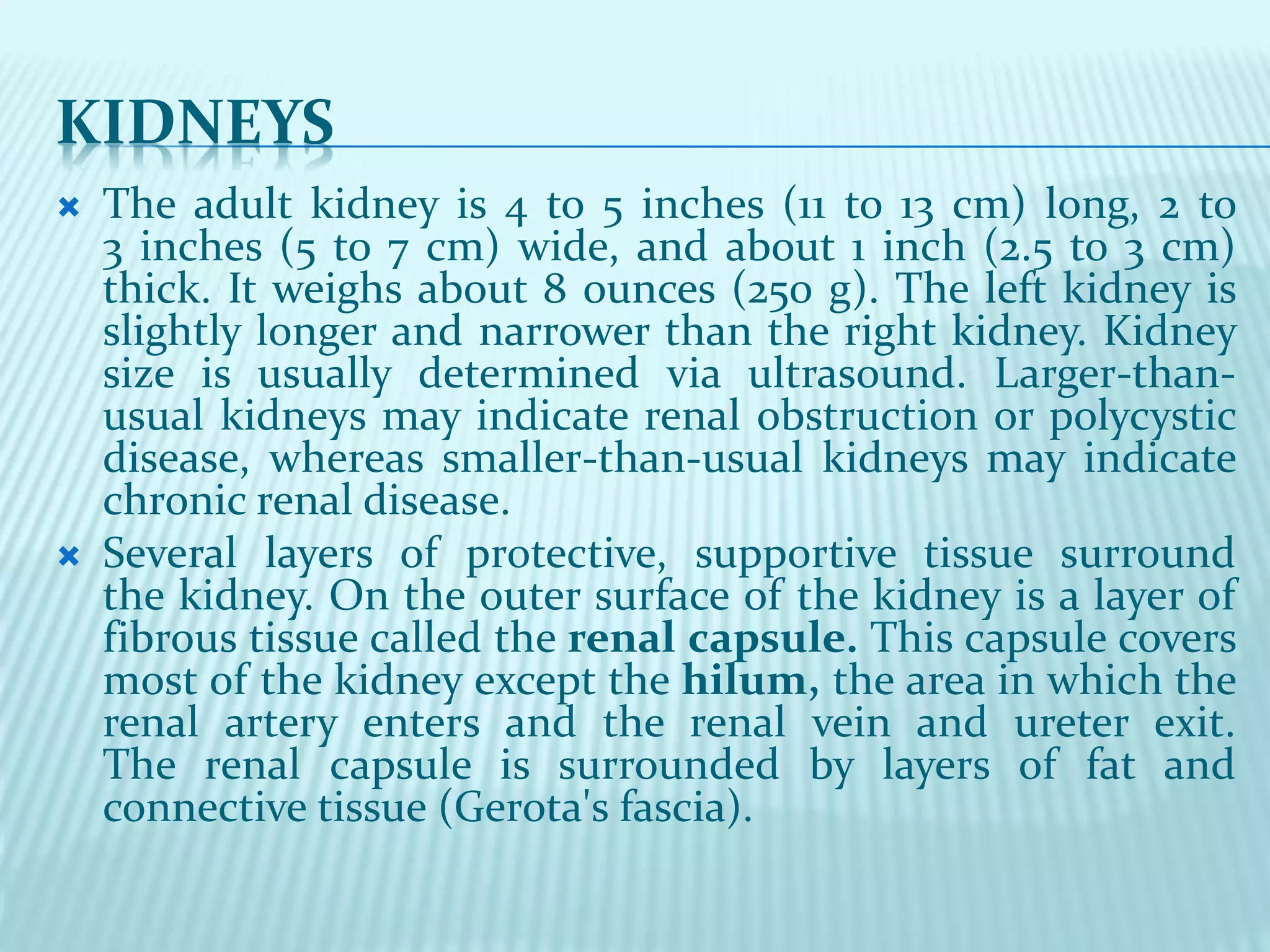 Note on assessment of renal or urinary system | PPTX