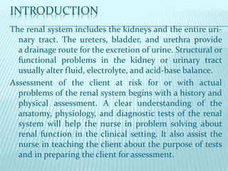 Note on assessment of renal or urinary system | PPTX
