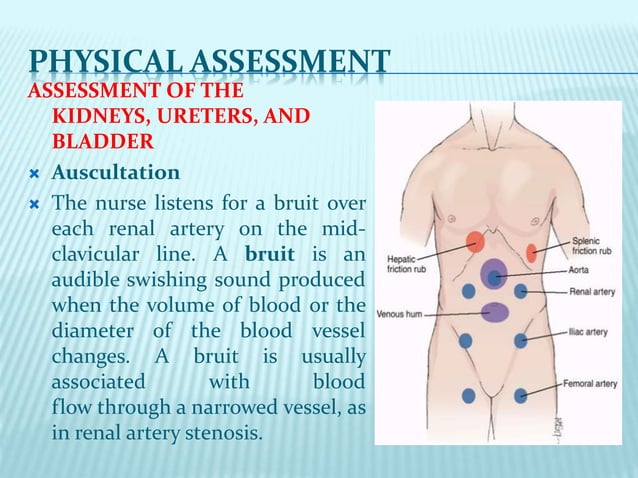 Note on assessment of renal or urinary system | PPTX