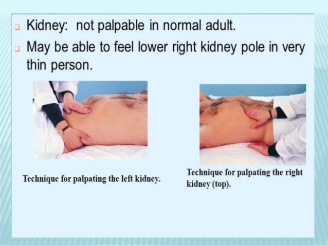 Note on assessment of renal or urinary system