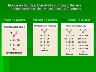 Carbohydrates | PPT