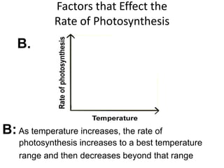 Notes.on.Photosynthesis.and.Cellular.Respiration.pptx