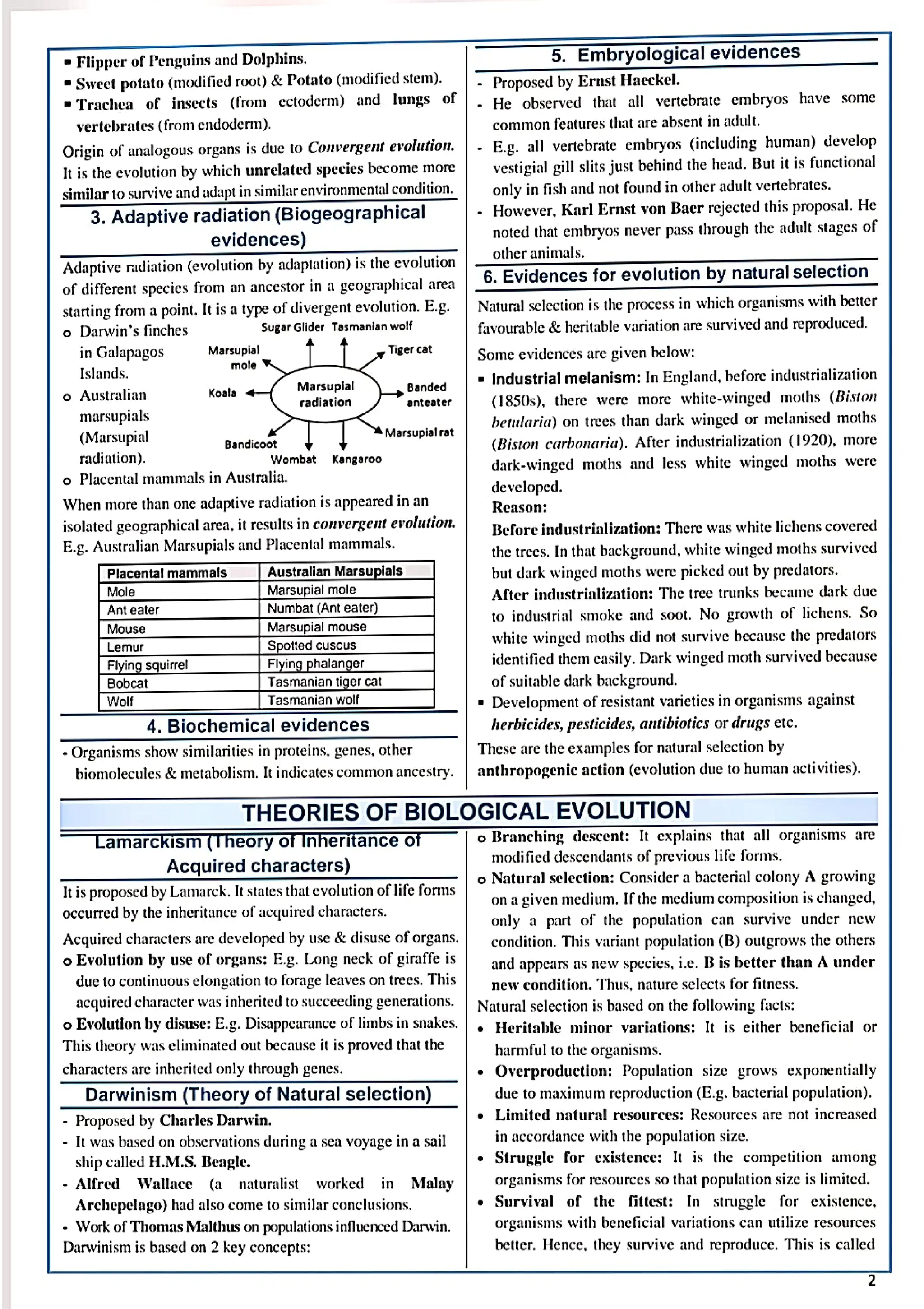 Biology project genetic Disorders class 12 science | PDF