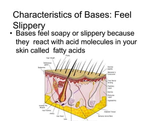 notes-acidsandbases-130210121114-phpapp02.pptx