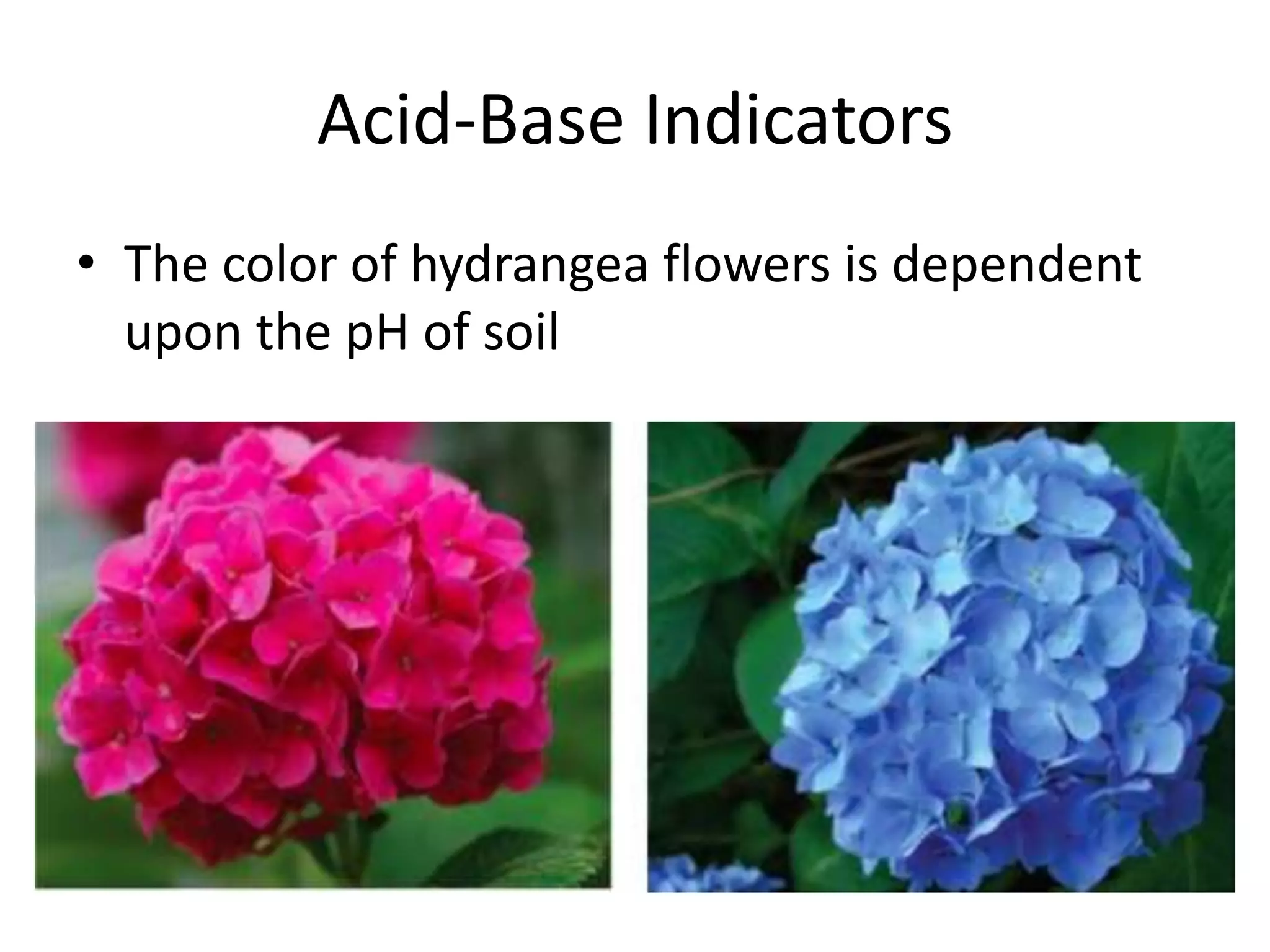 acids and bases | PPTX