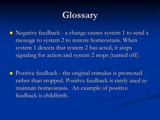 Homeostasis | PPTX