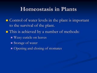 Homeostasis Examples In Plants