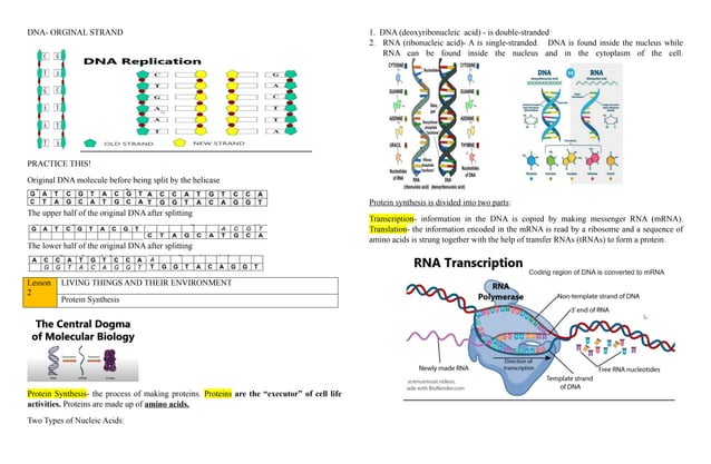 NOTES-IN-MODULE-4-Heredity-Inheritance-and-Variation.docx | Free Download