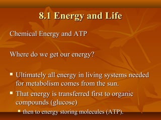 Notes photosynthesis and cr | PPT | Chemistry | Science