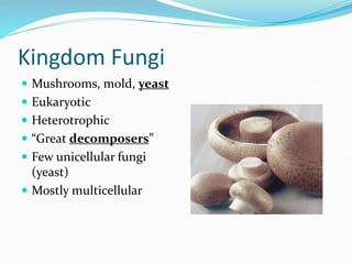 notes-protistfungi2012.ppt