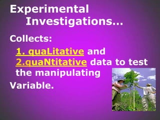 Notes scientific investigation | PPTX