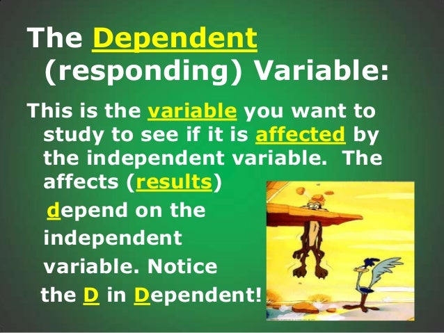 Notes scientific investigation