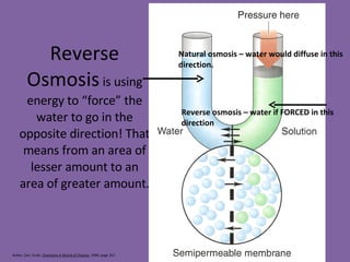 Notes Solubility4 | PPT | Chemistry | Science