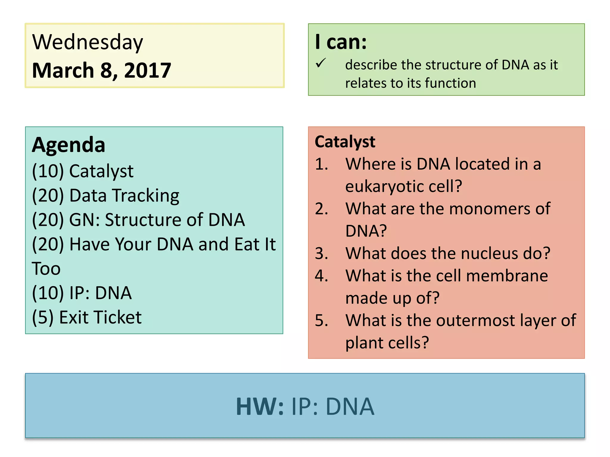 NOTES - Structure of DNA.pptx