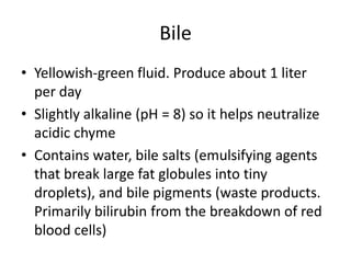 Notes accessory organs digestive system | PPTX